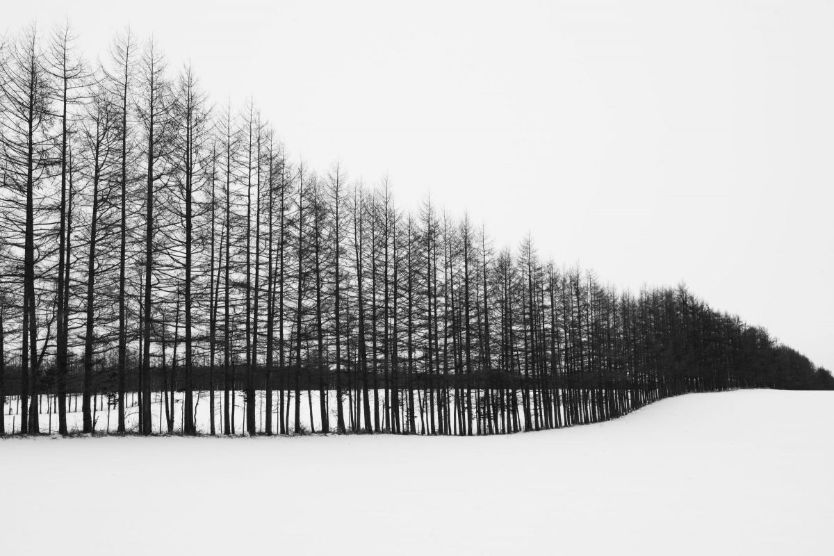 Tokachi, Hokkaido Winter | GANREF