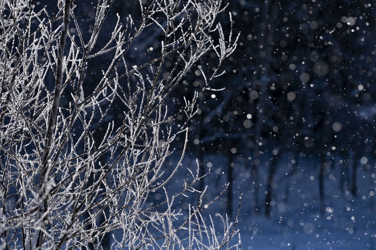 Project [52 Weeks] : Week Forty Nine | GANREF