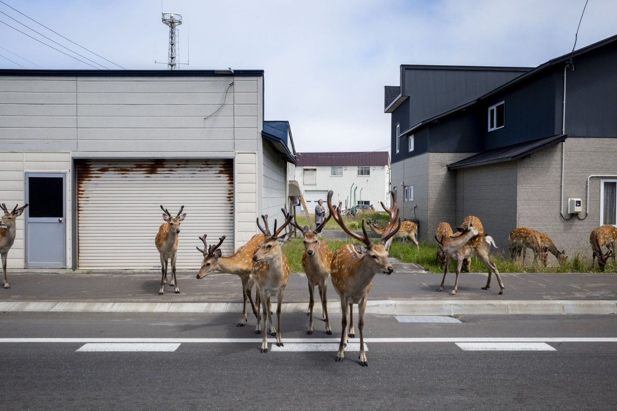 Project [52 Weeks] : Week Twenty Four | GANREF