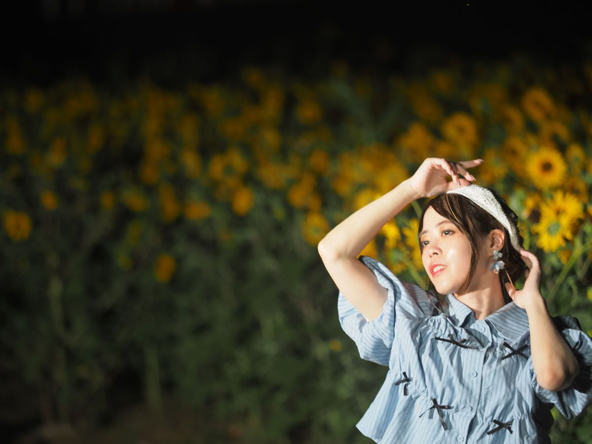 Night and Sun | GANREF