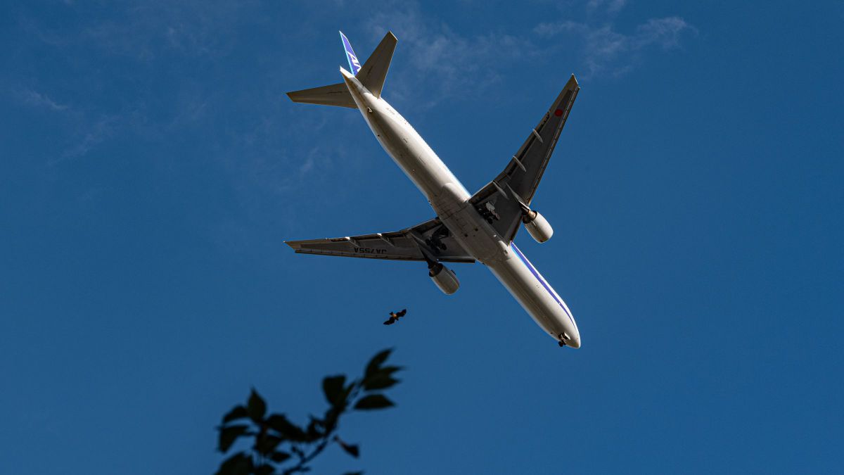 Flying with | GANREF