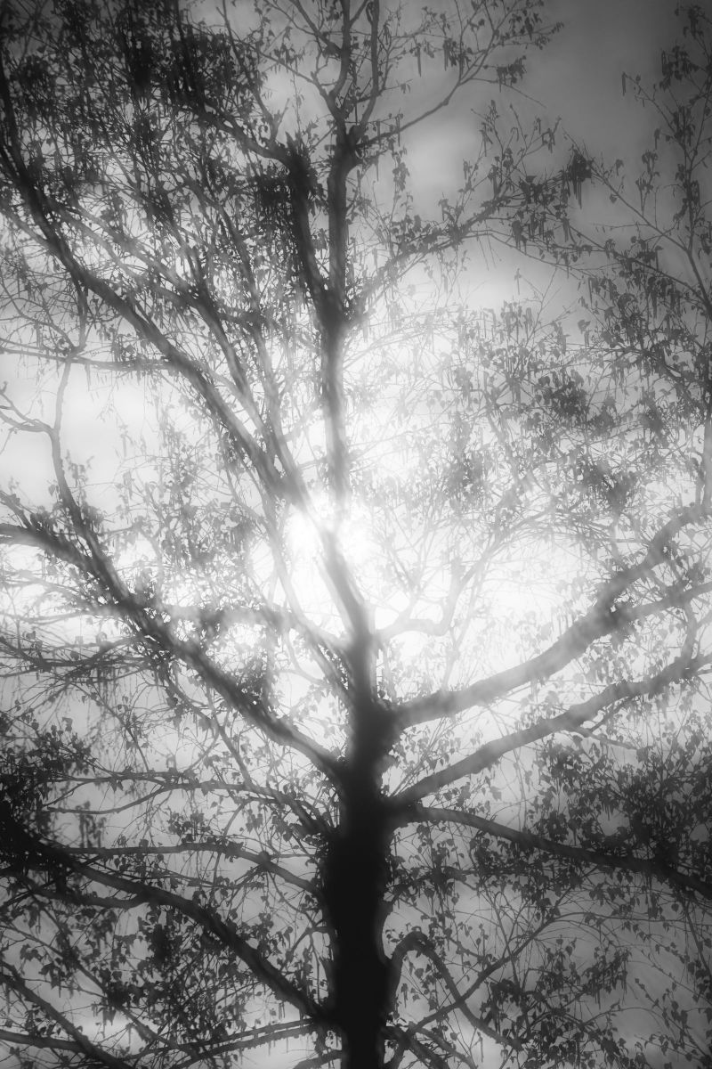 Before night | GANREF