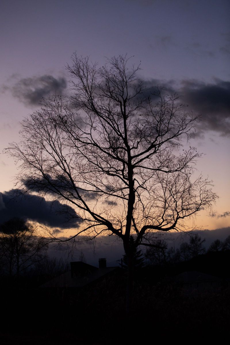 After Sunset | GANREF