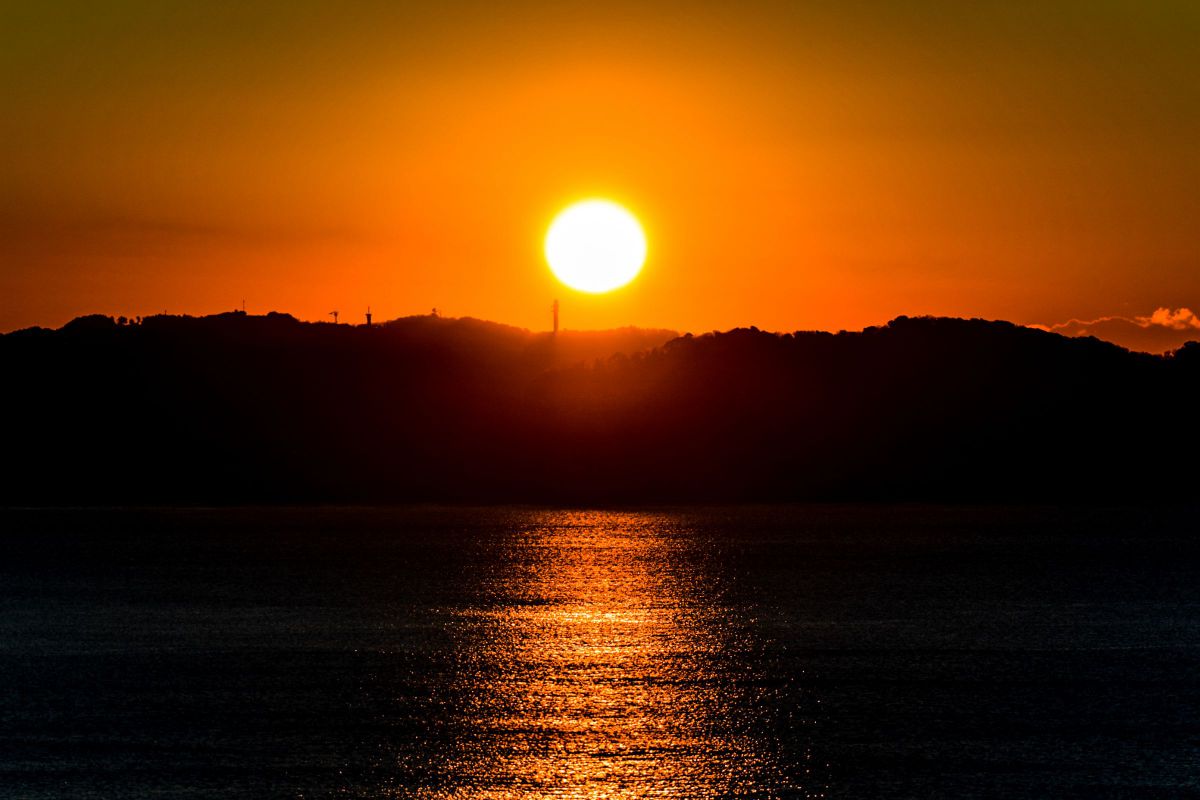 初日 2023 | GANREF