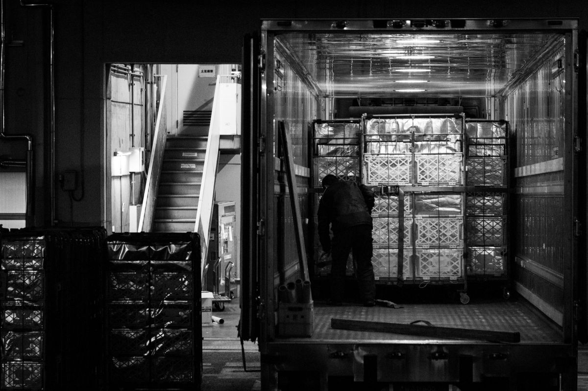 Hard worker | GANREF