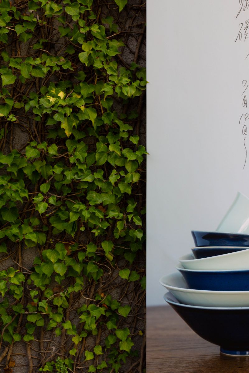 Green on the wall 4 | GANREF