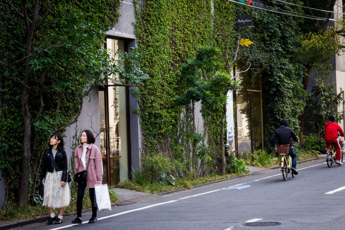 Green on the wall 2 | GANREF