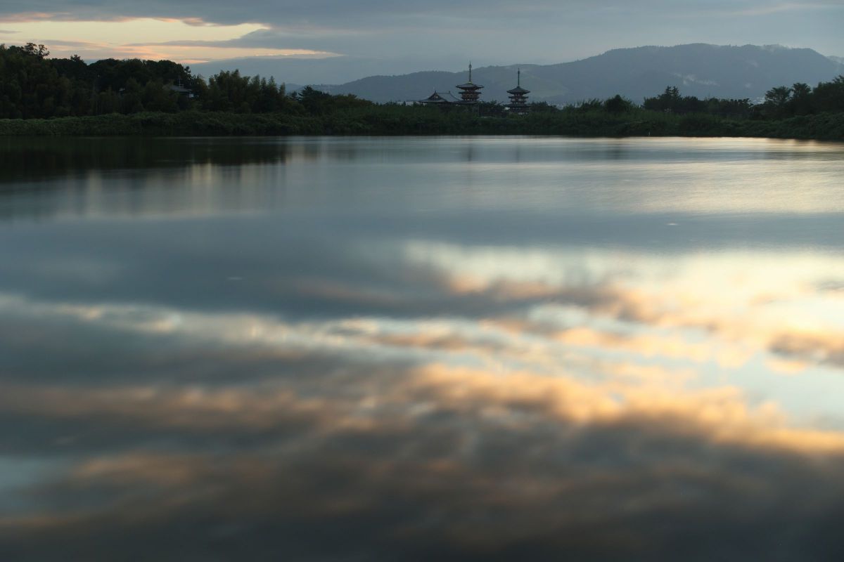 Revenge Reflection | GANREF