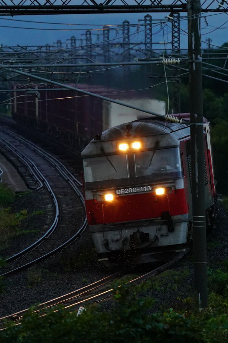 レッドベア | GANREF