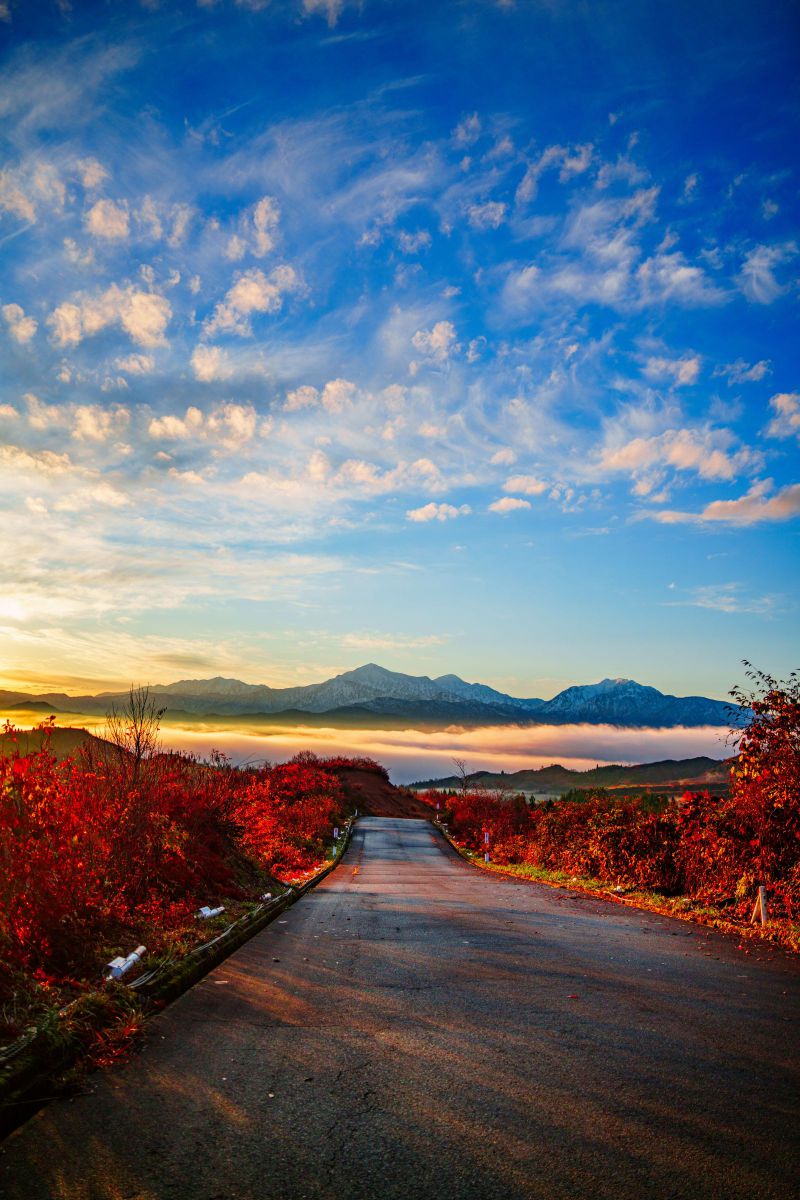 Take Me Home, Country Roads | GANREF