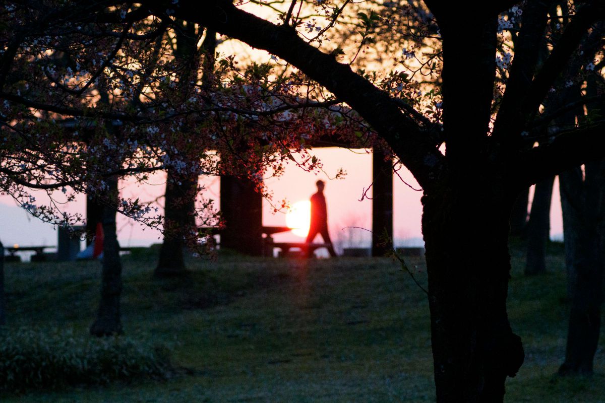 sunrise walker | GANREF