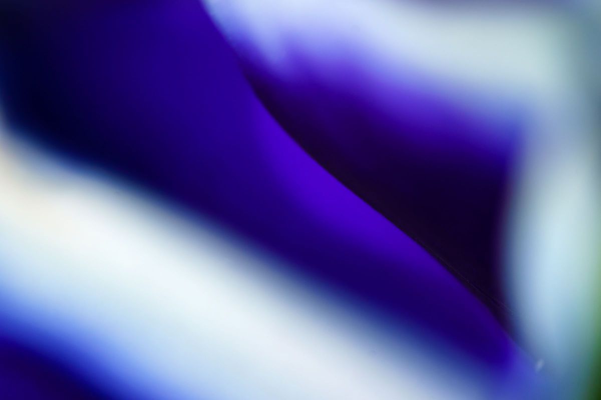 An edge of the deep | GANREF