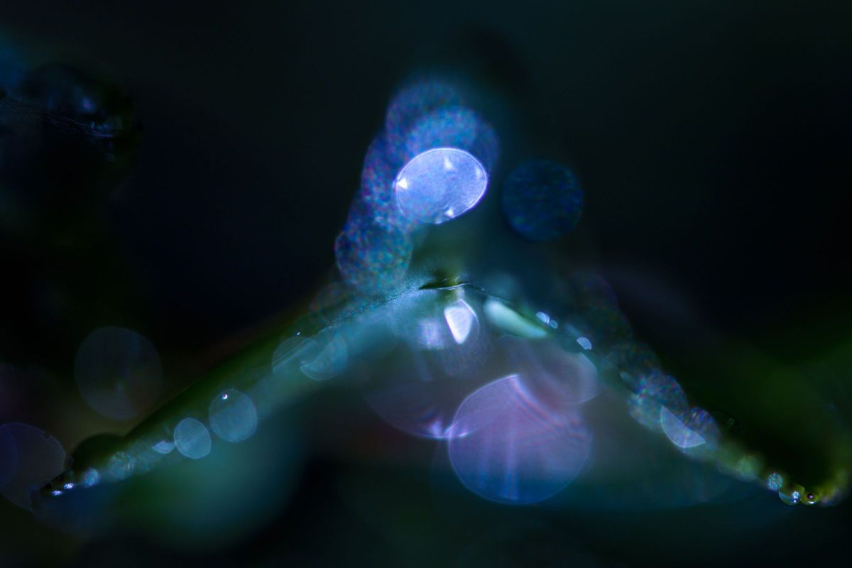 Quantum Gravity | GANREF