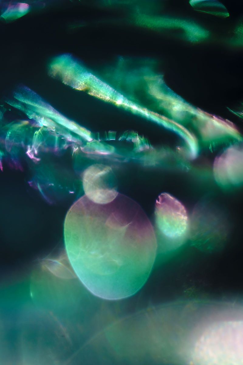 Waking up from a dream | GANREF