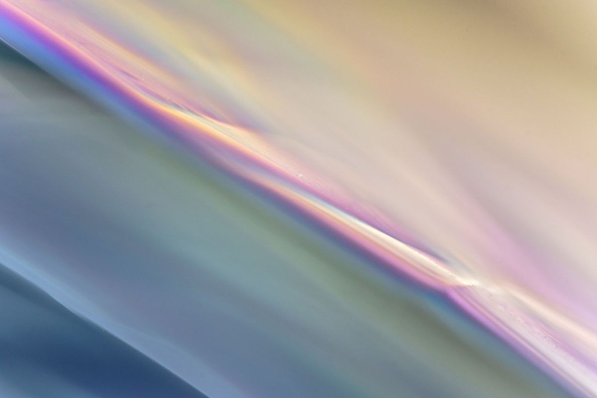 Phase Transition | GANREF