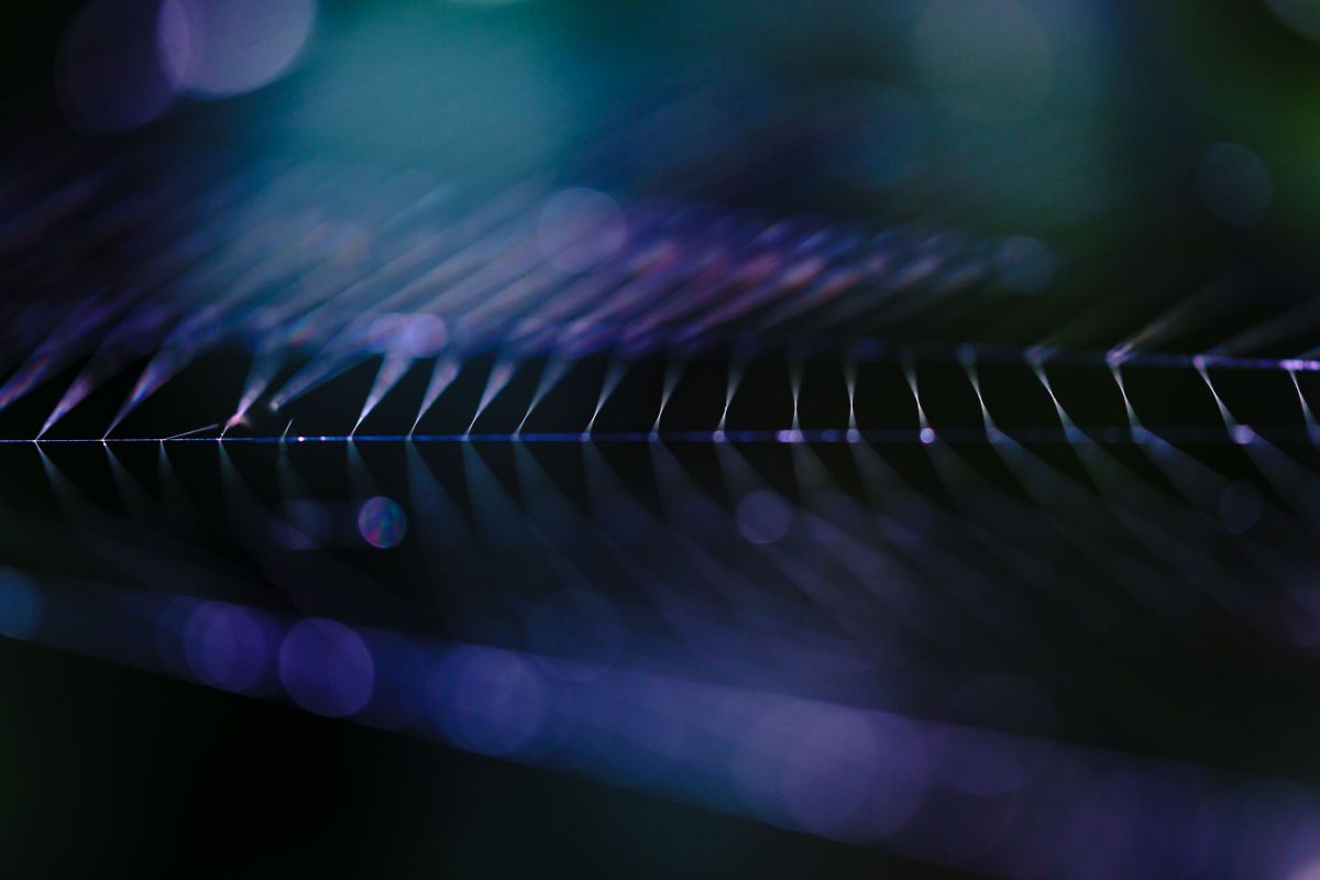 Back to the Future | GANREF