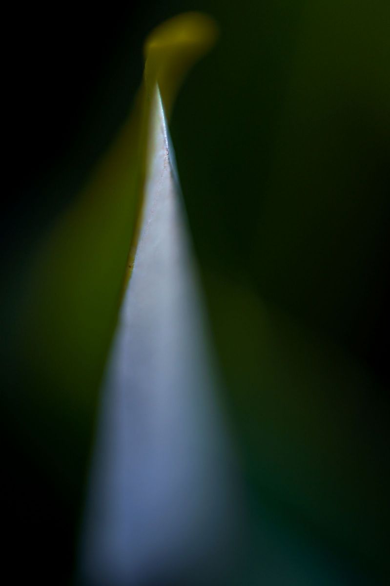 White and green conical shape | GANREF