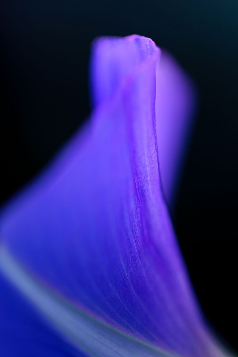 Blue Crystal | GANREF