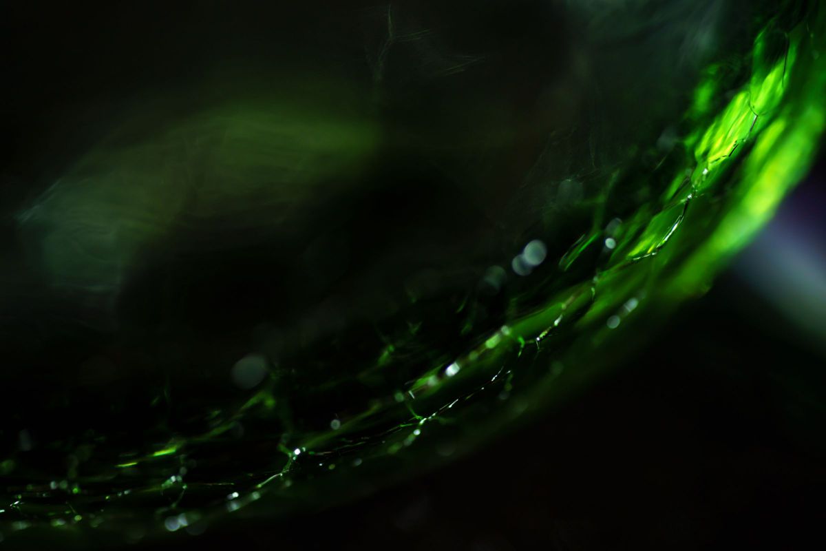 Swing Night | GANREF