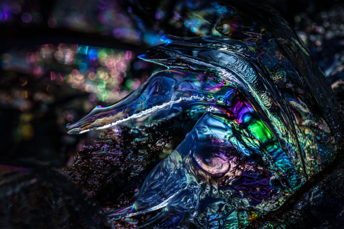 Monster Wave | GANREF