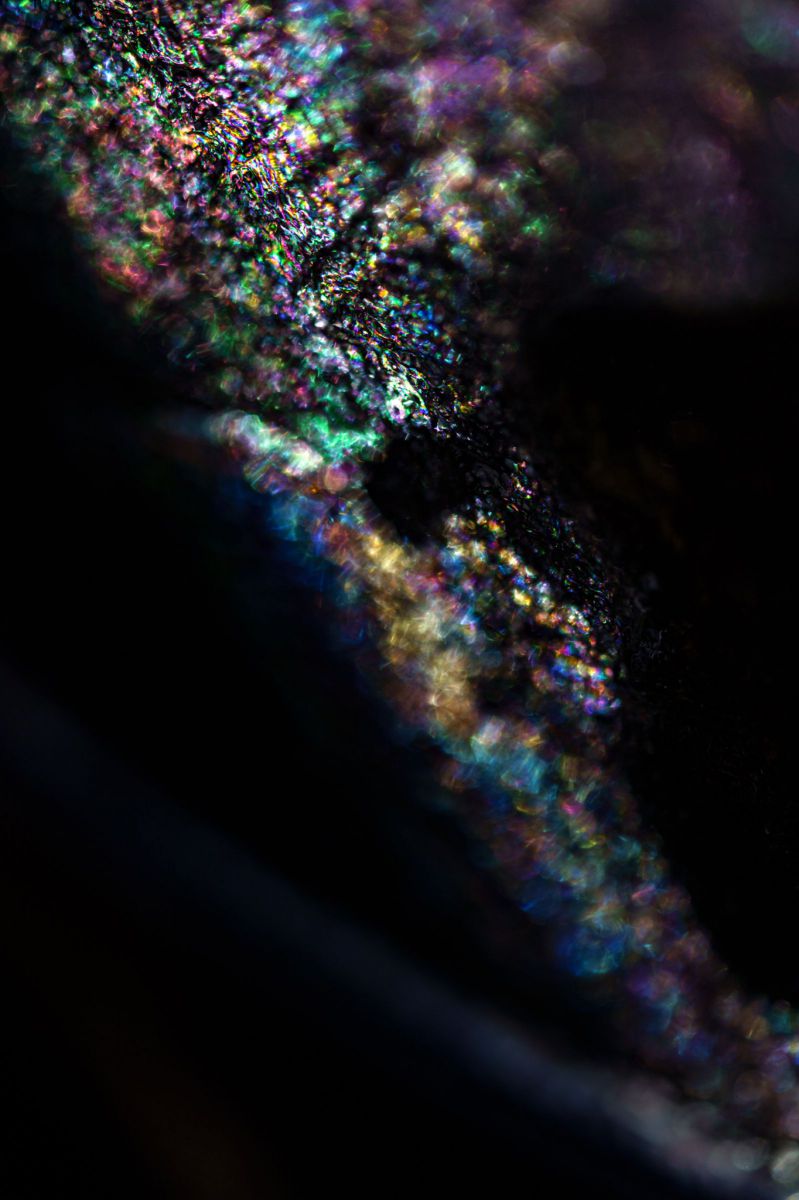 Souls rising up to the heavens | GANREF