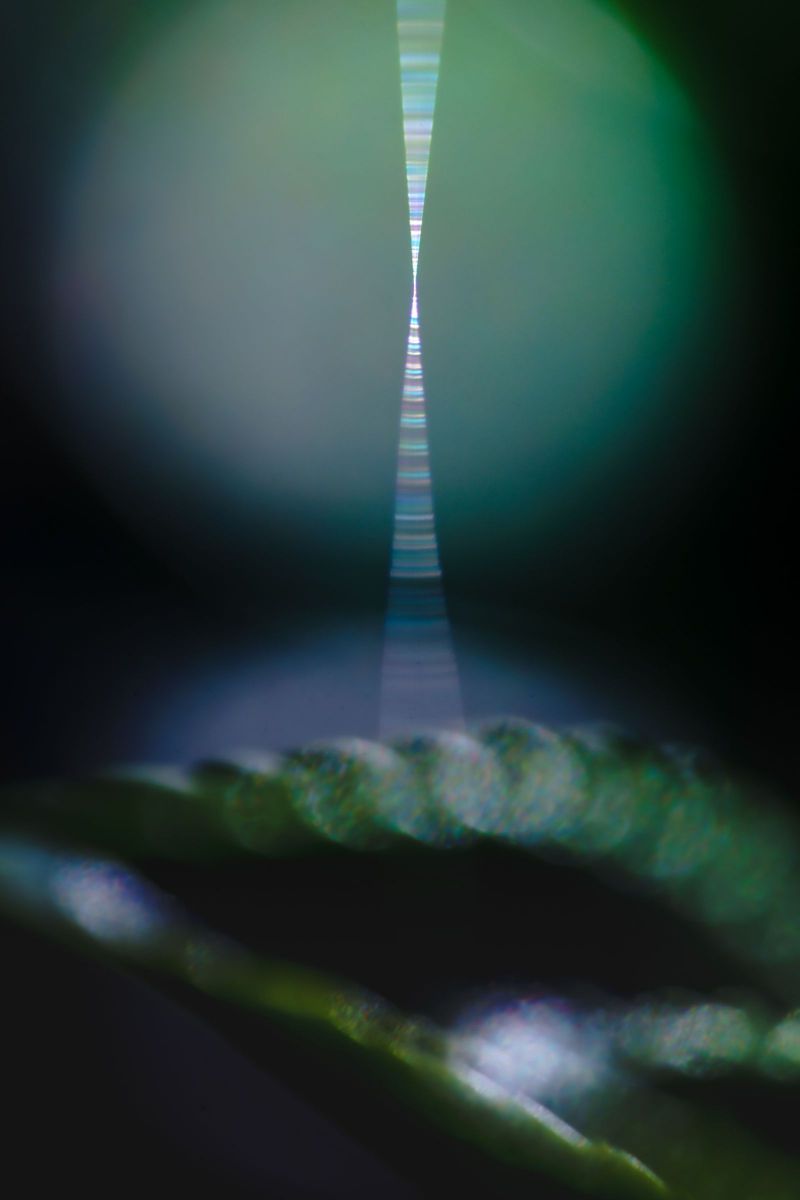 Space Light House | GANREF