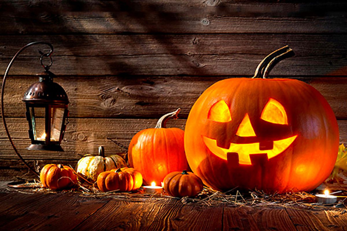 Halloween ♬ | GANREF