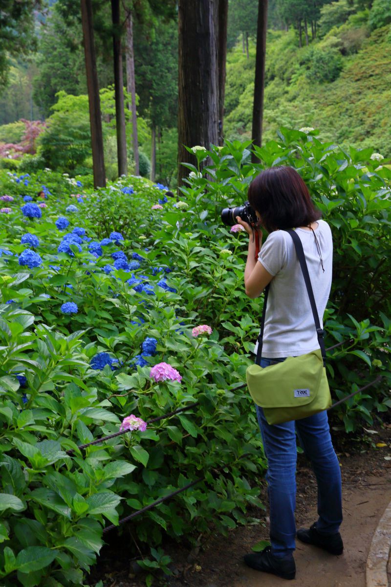 Target Girl | GANREF