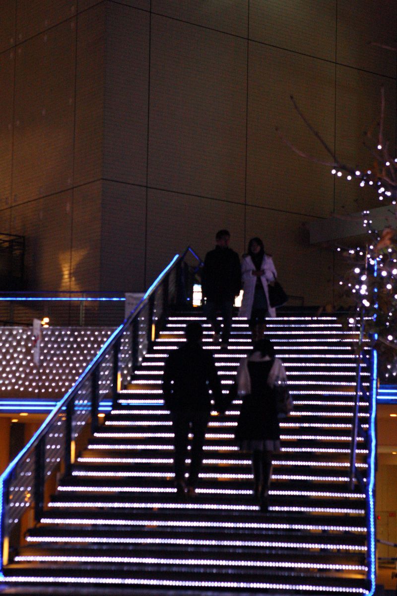 Night Staiars | GANREF