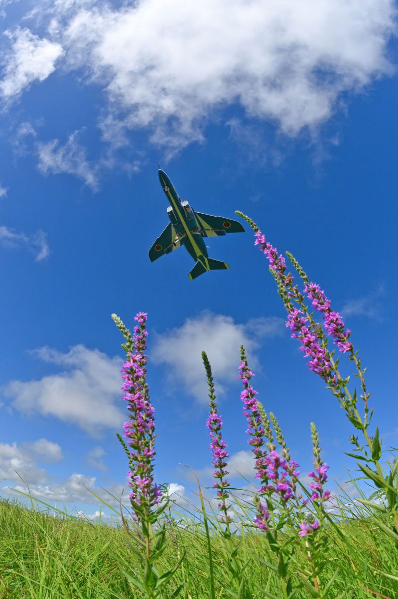 青 緑 紫 | GANREF