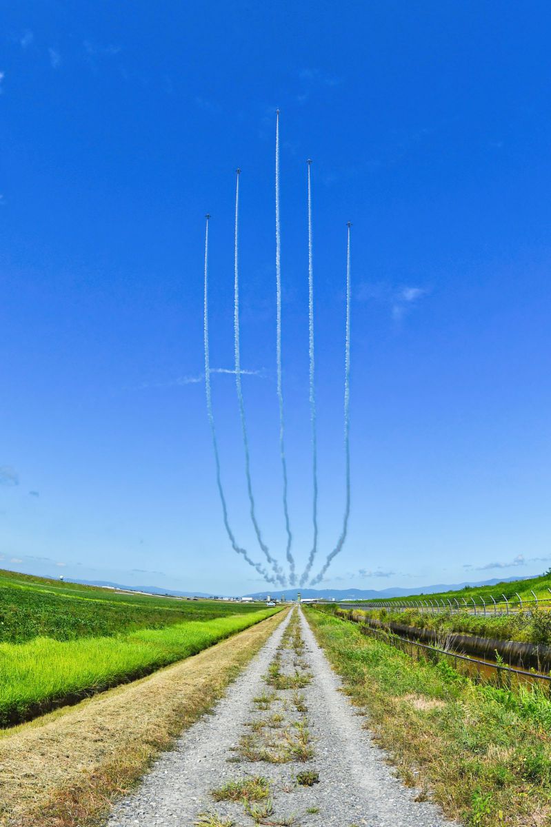 伸 白 鍬 | GANREF