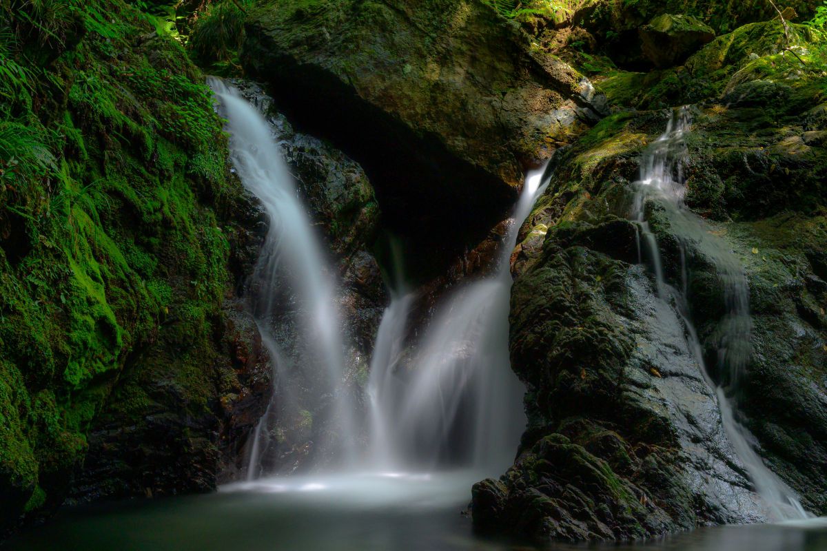 涼を求めて | GANREF