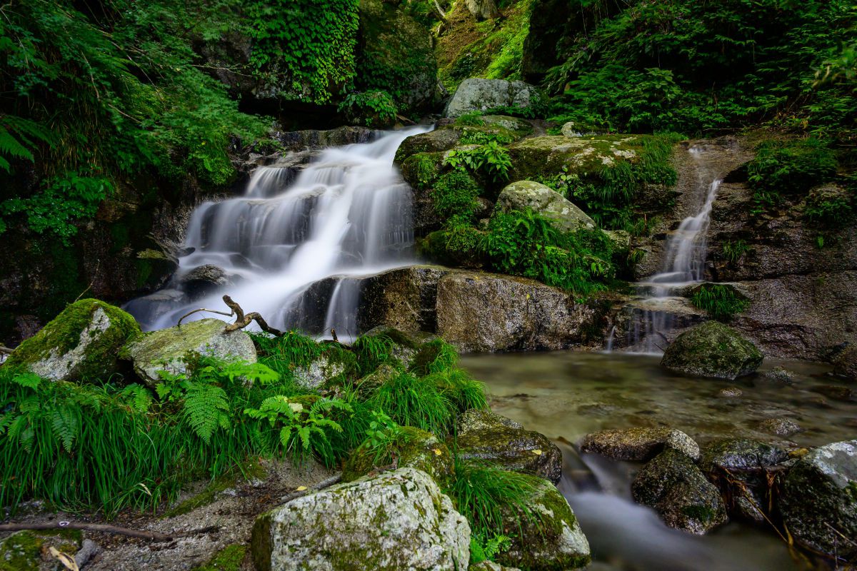 涼を探して | GANREF