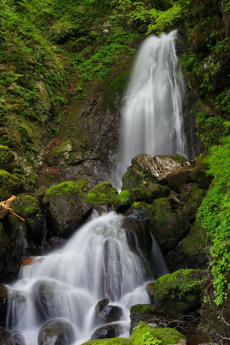 新緑の滝 | GANREF