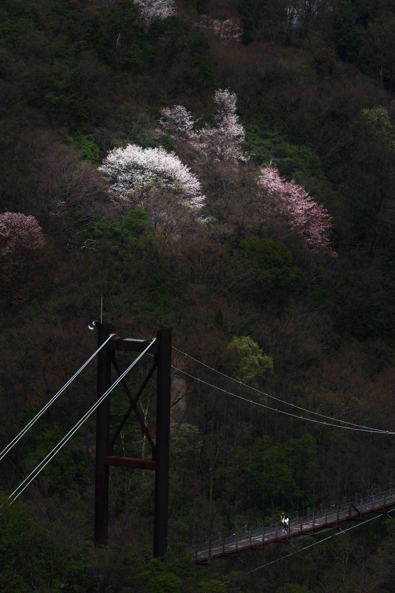 天空を行く | GANREF