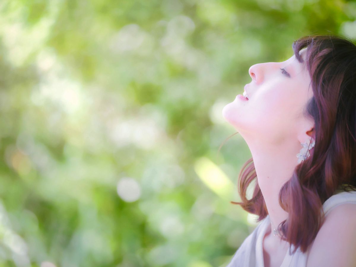 Green Breeze | GANREF