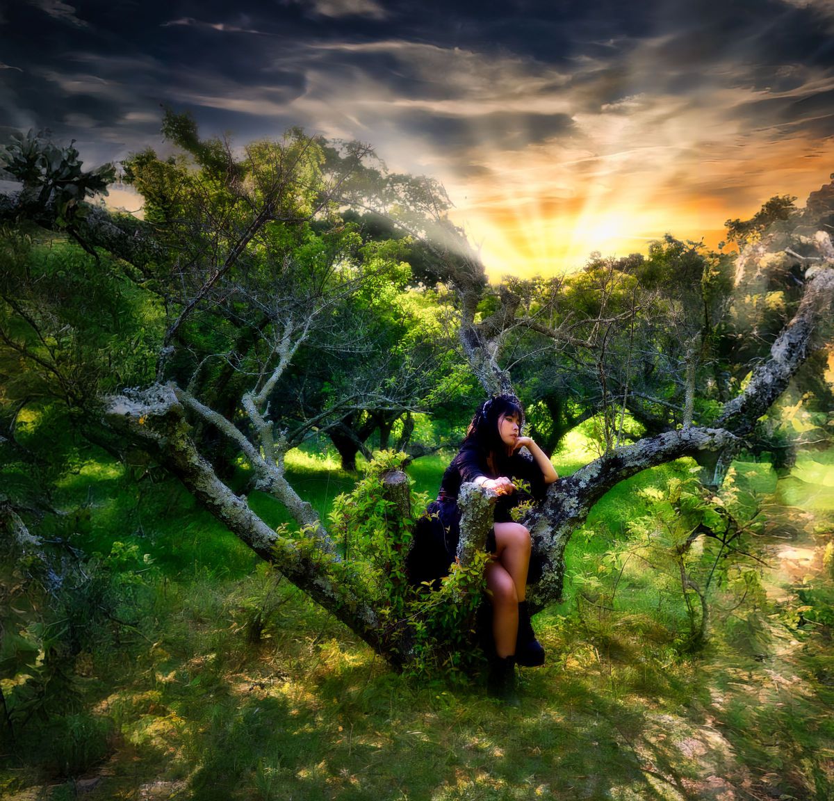 Return of the Princess | GANREF