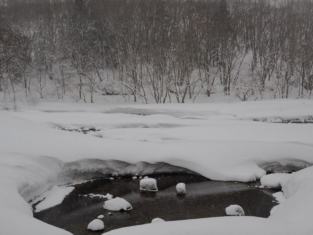 冬の河原 | GANREF