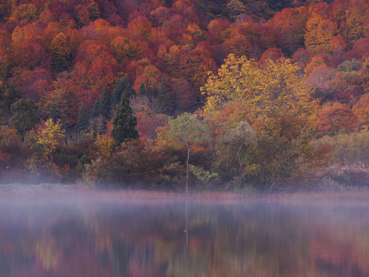 冷え込む夜明け | GANREF