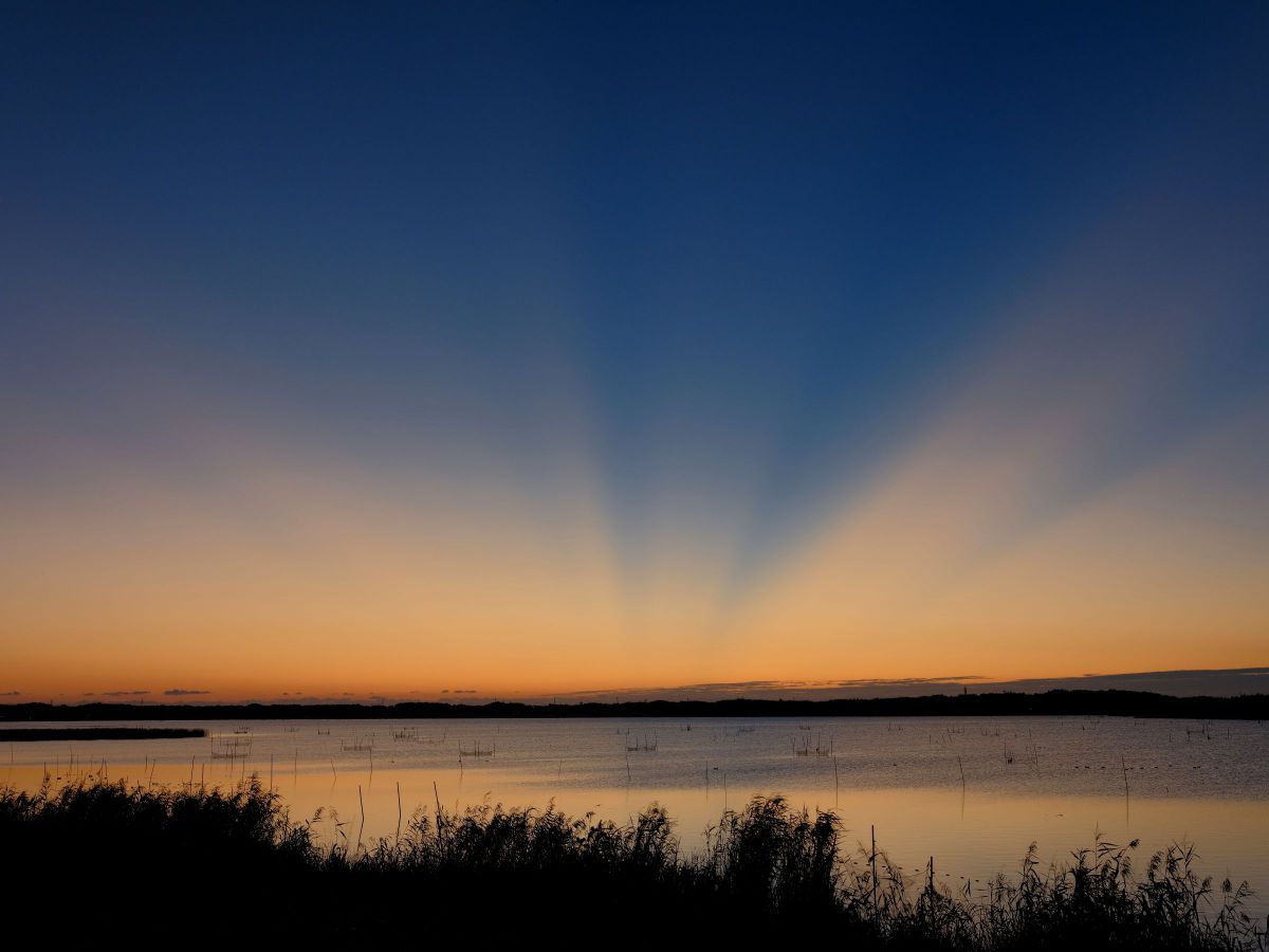 広がる光芒 | GANREF