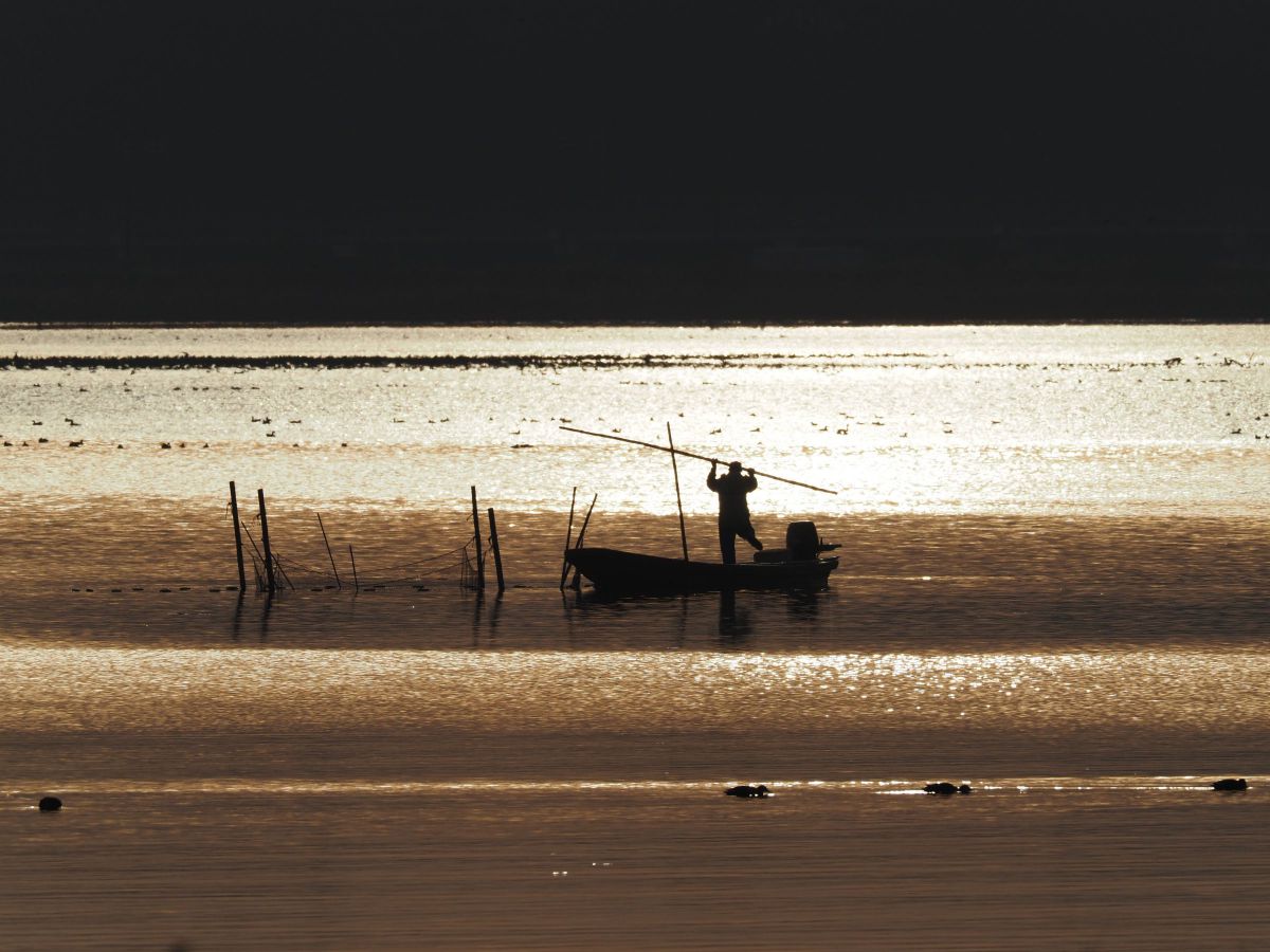 一人の漁 | GANREF