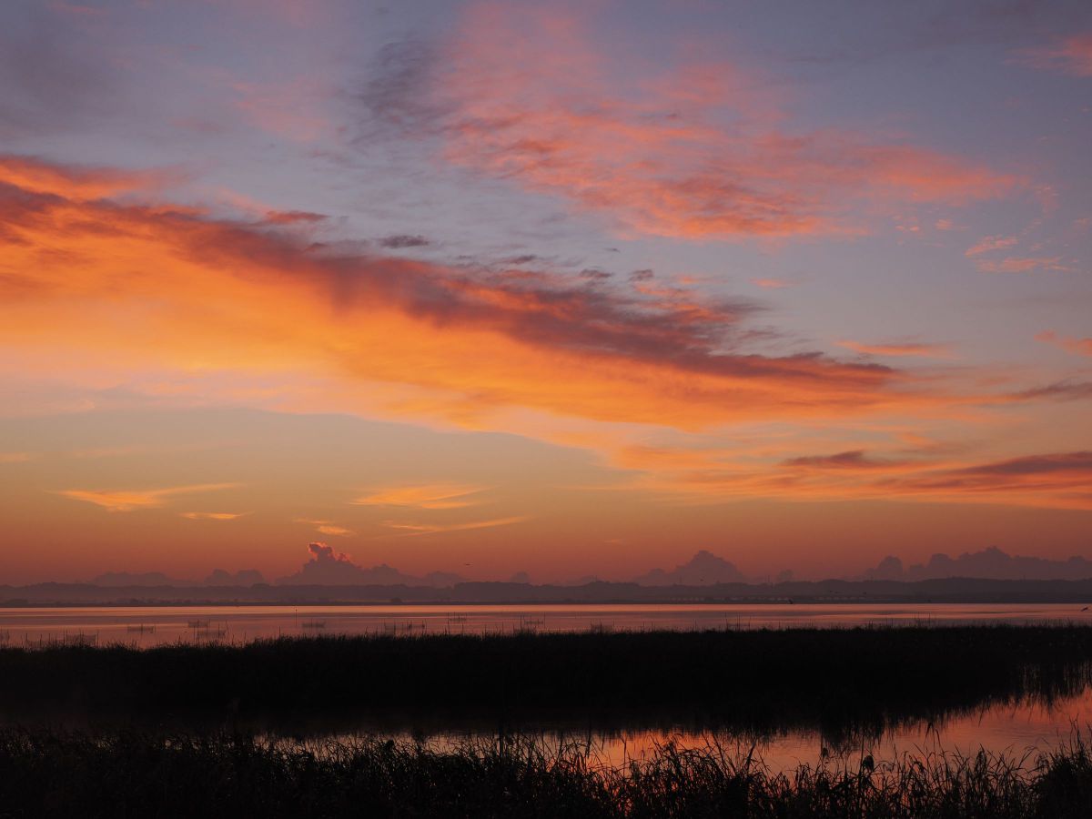 染まる雲 | GANREF