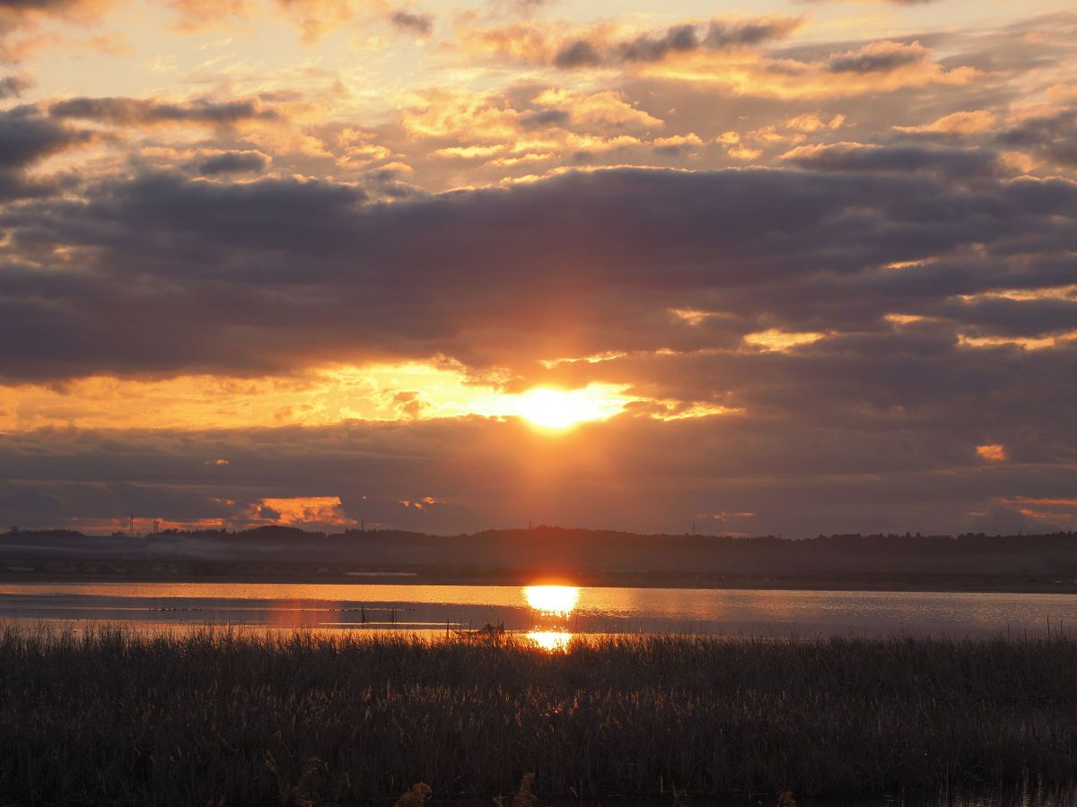 目覚めの刻 | GANREF