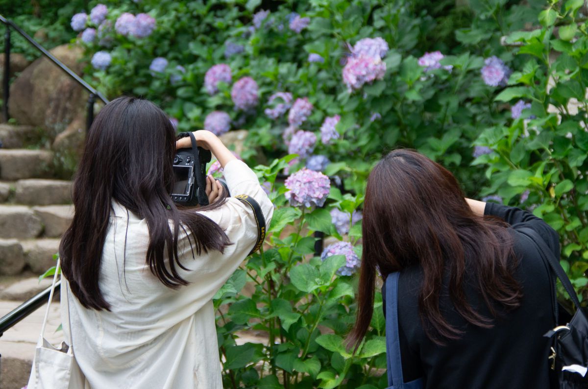 良い写真撮れた？ 〜Nikon D800〜 | GANREF