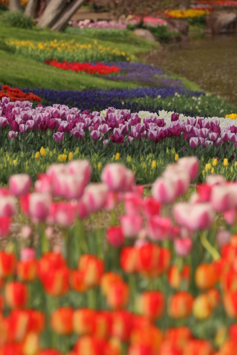 Full Colors Line | GANREF