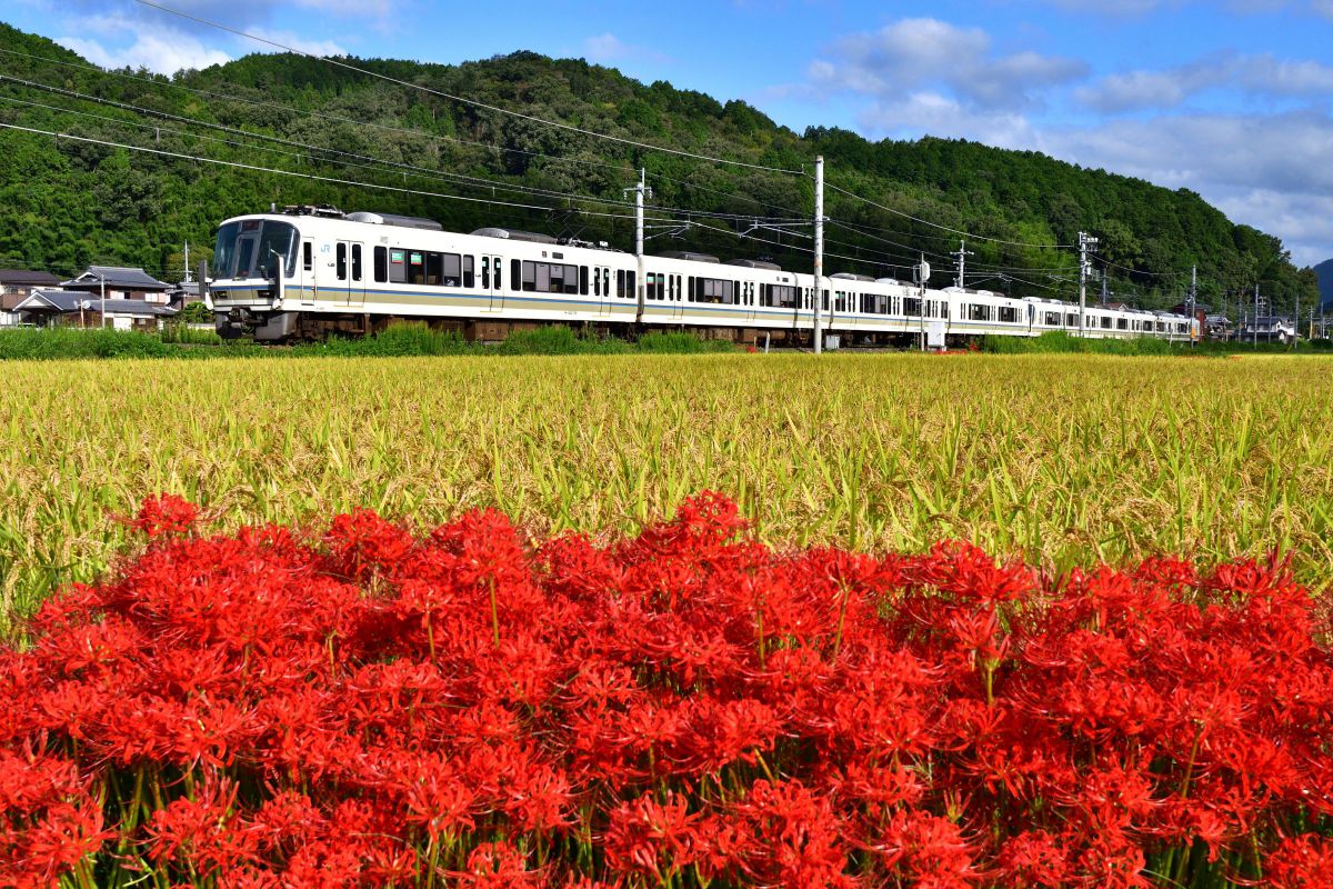 亀岡の秋色 | GANREF