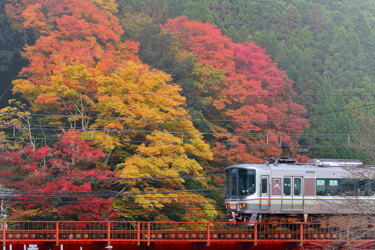 山にグラデを見る | GANREF