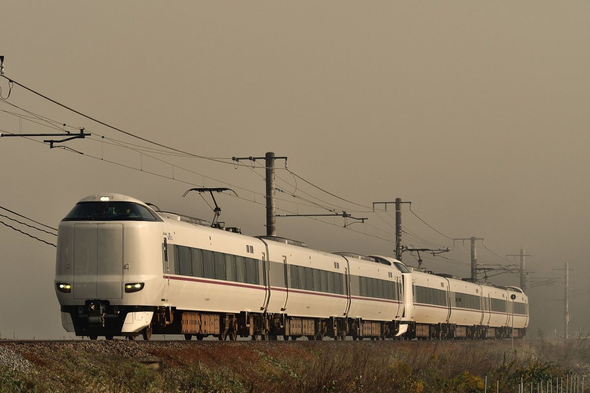 丹波霧のスクリーンに立つ | GANREF