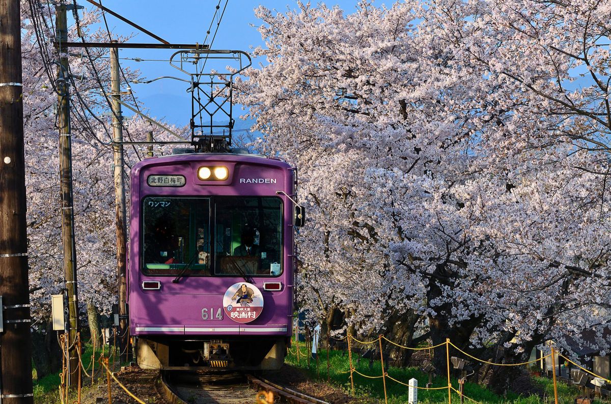 嵐電の春 ② | GANREF