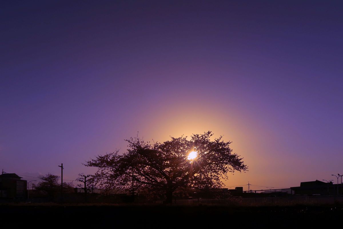 写真マジック | GANREF